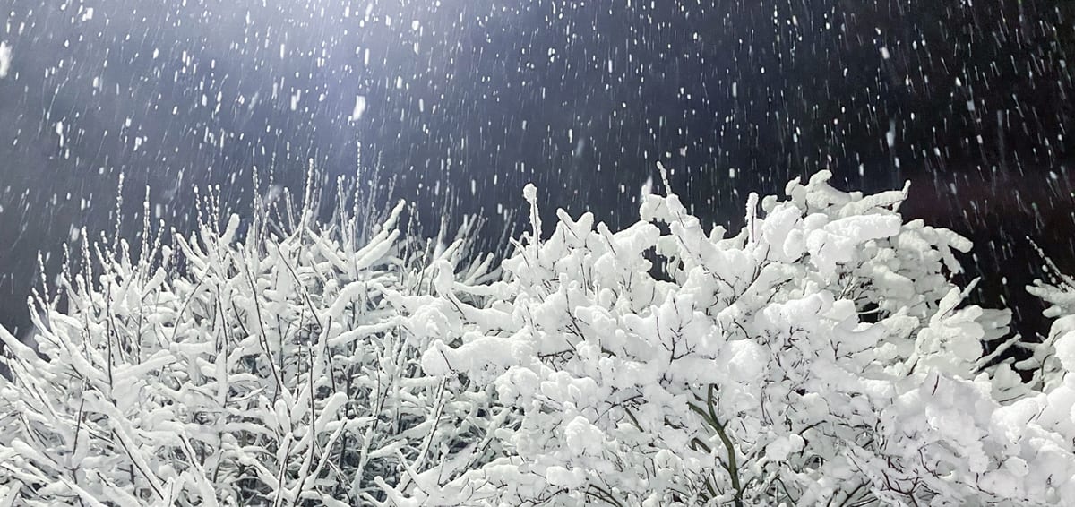 Antoch Weihnachtskarte 2018